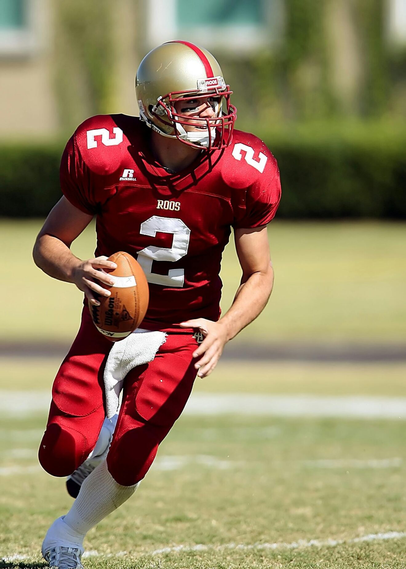 Playing College Sports: What You Really Need to Know (From DI Dreams to ...